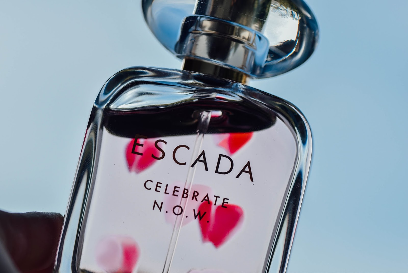 Escada Celebrate Now Feiere das Leben, jetzt! - SellysSecrets ...