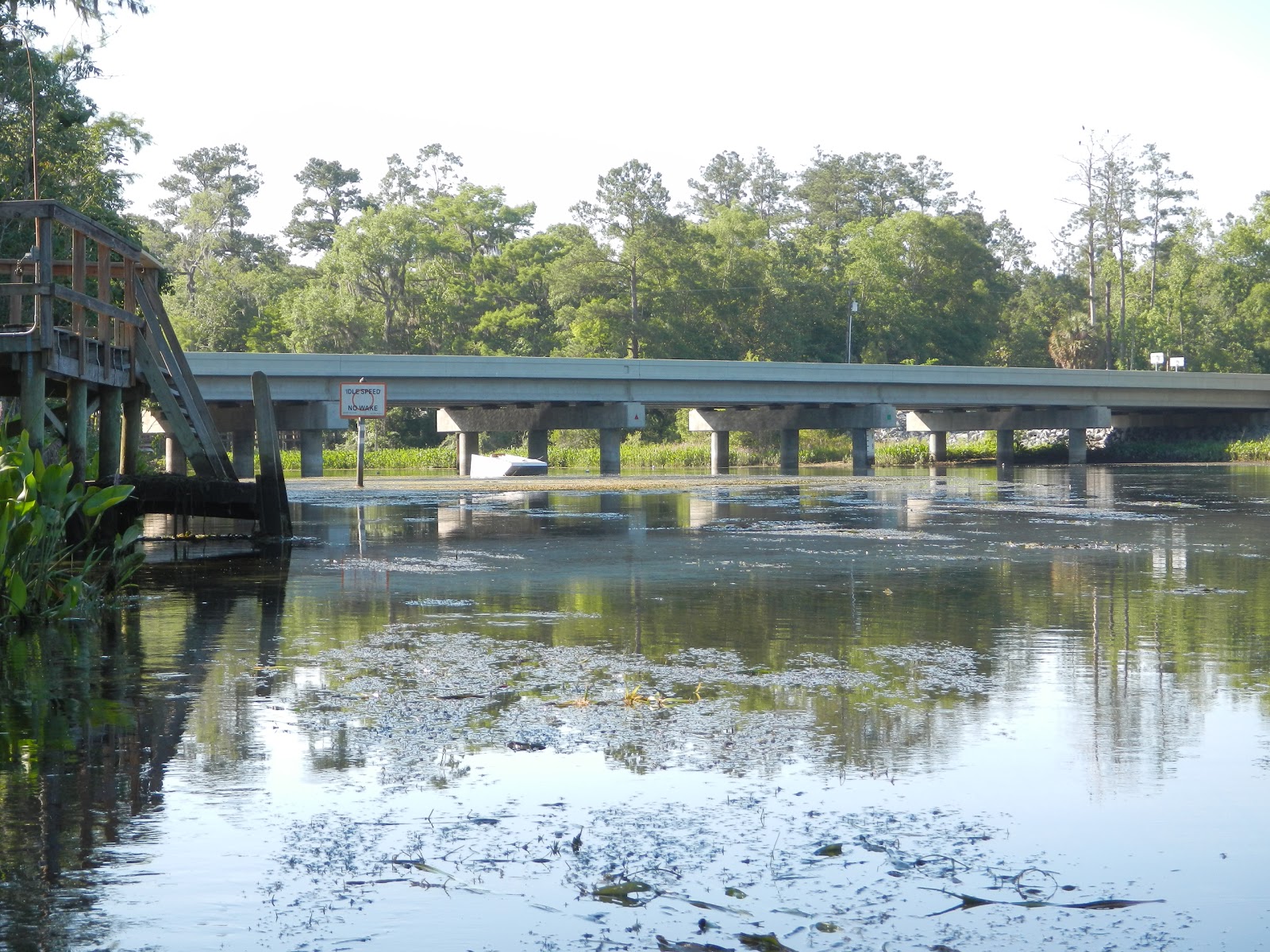 Florida - Coast to Coast to Coast: Kayaking on the Wakulla River