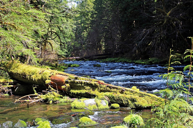 Tamolitch Pool - Bigfoot, Beer and Bear Grylls
