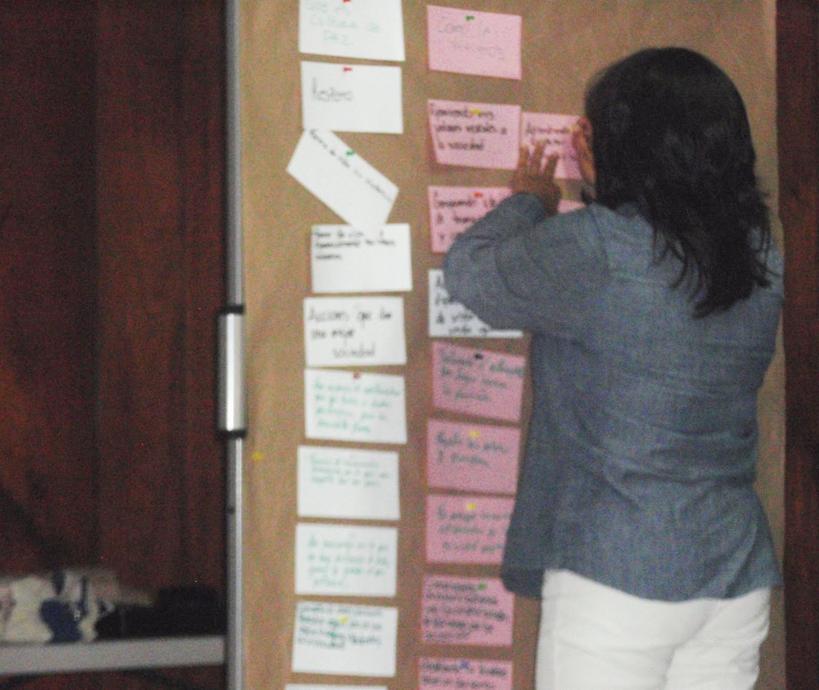 La huella de una Epesista: Metaplan