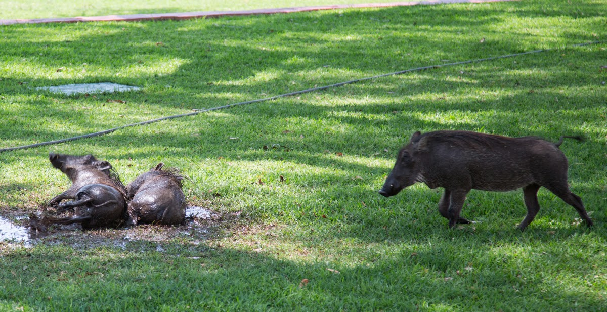 The f8 Group: Photography and Occasional Commentary: Collective Nouns