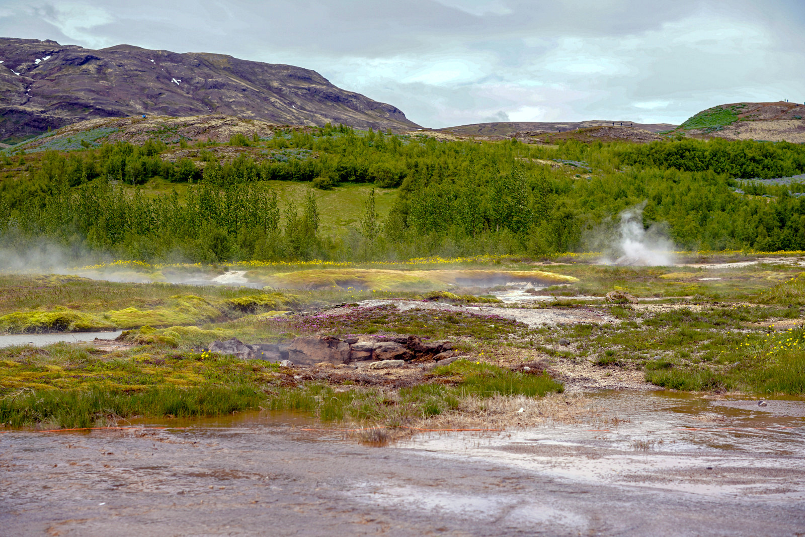 Eat Drink KL | Geysir Glima, Iceland