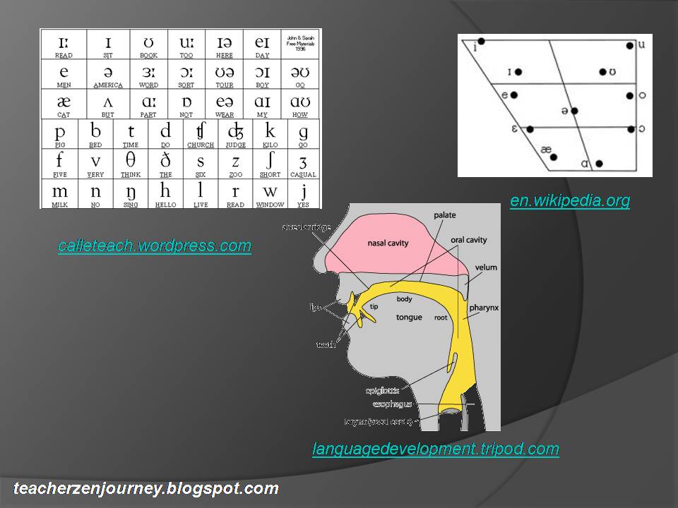 Teacher's Journey: January 2013