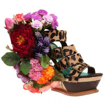 Dan Sullivan's grapey shoes | JUMI