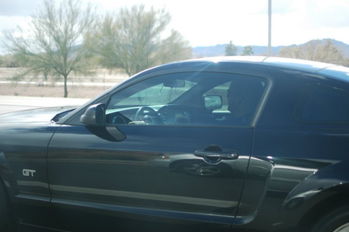 YOU BECOME A MONSTER: 2-27-11 ROAD DOME/DICK DAY