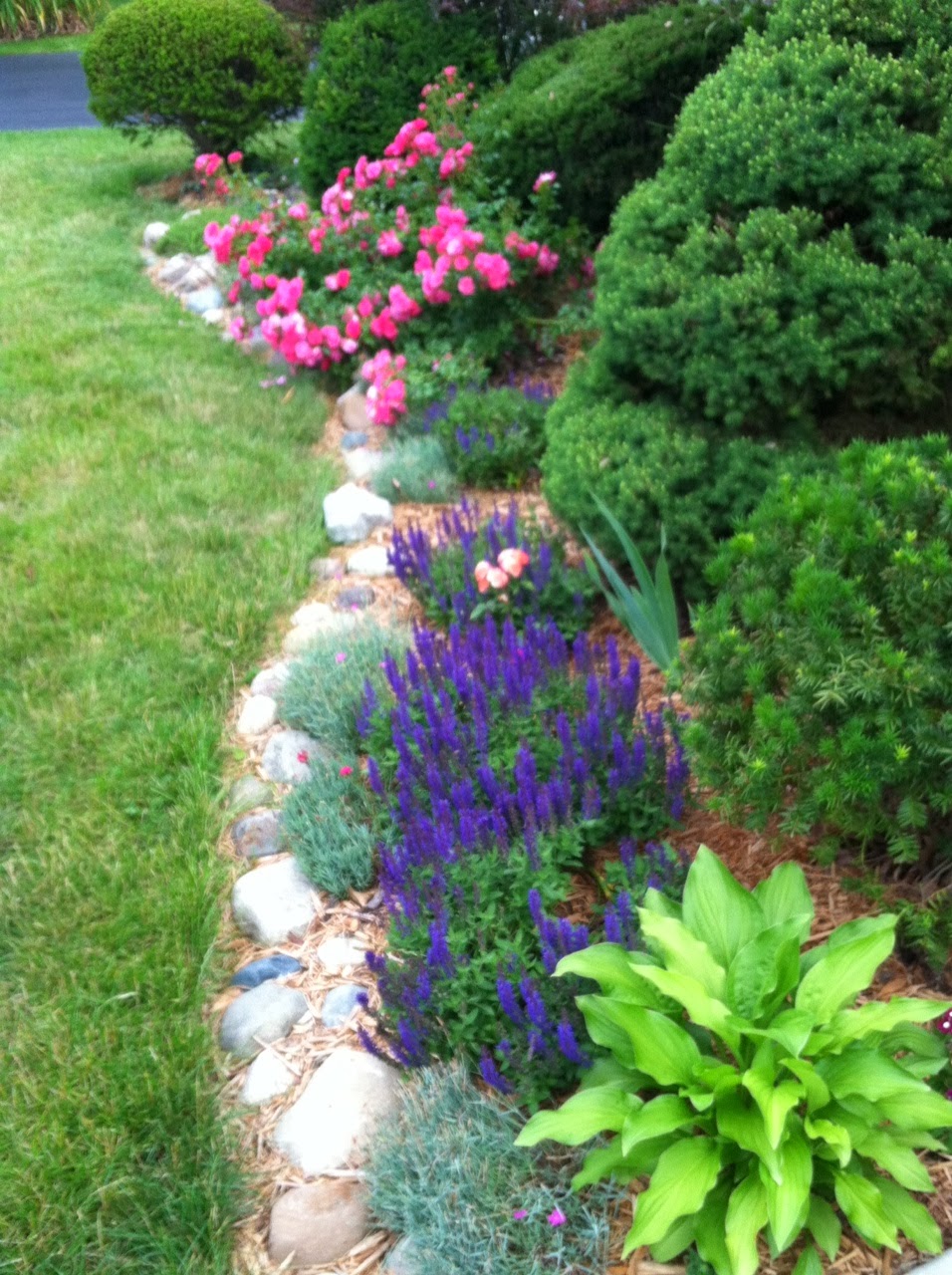 Designing Dreams on a Dime: Summer Blossoms