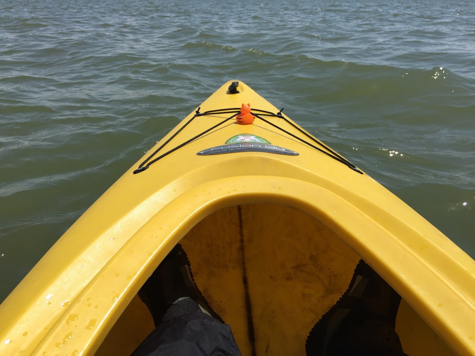 Kayaking Across Ohio: Lake Lecomte Fostoria Reservoir #5 and Veterans ...