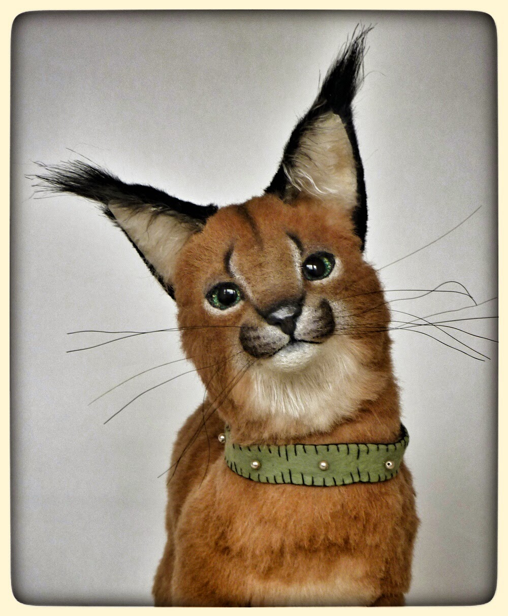 KALEideaSCOPE: Bear in Mind!: SAHARA caracal cat