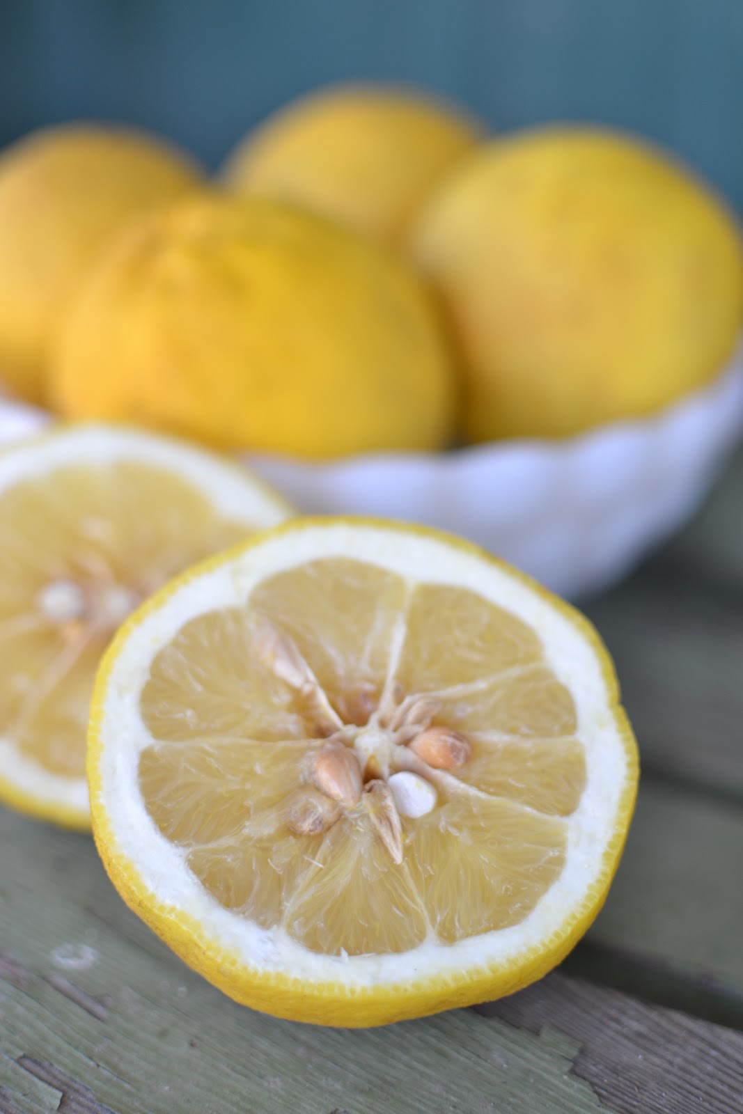 Our Neck of the Woods: Ponderosa Lemons