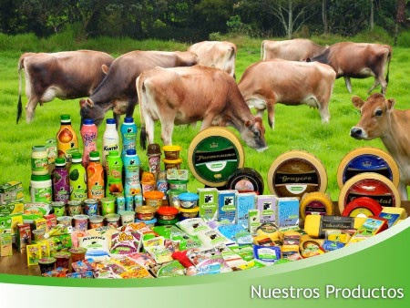 LAS MEJORES 20 EMPRESAS COLOMBIANAS : COLANTA