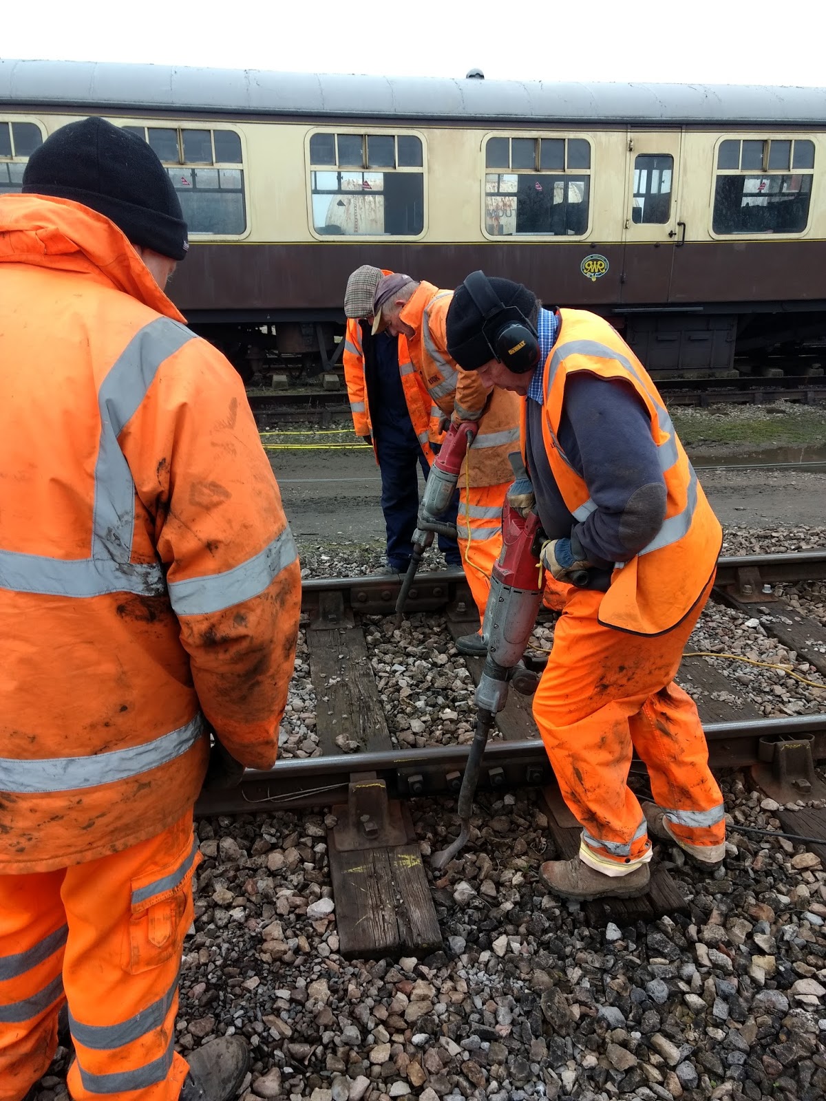 Extension Blog: A day on the Kangos