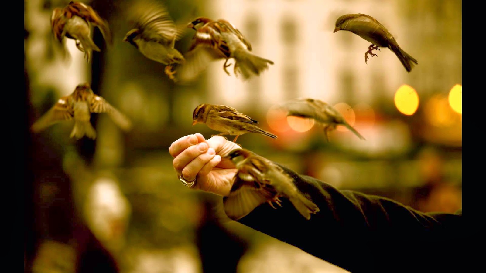 "SER HUMANO, SER VIVO, SER LIMPIO.. PROTEJE TU PLANETA!: marzo 2014