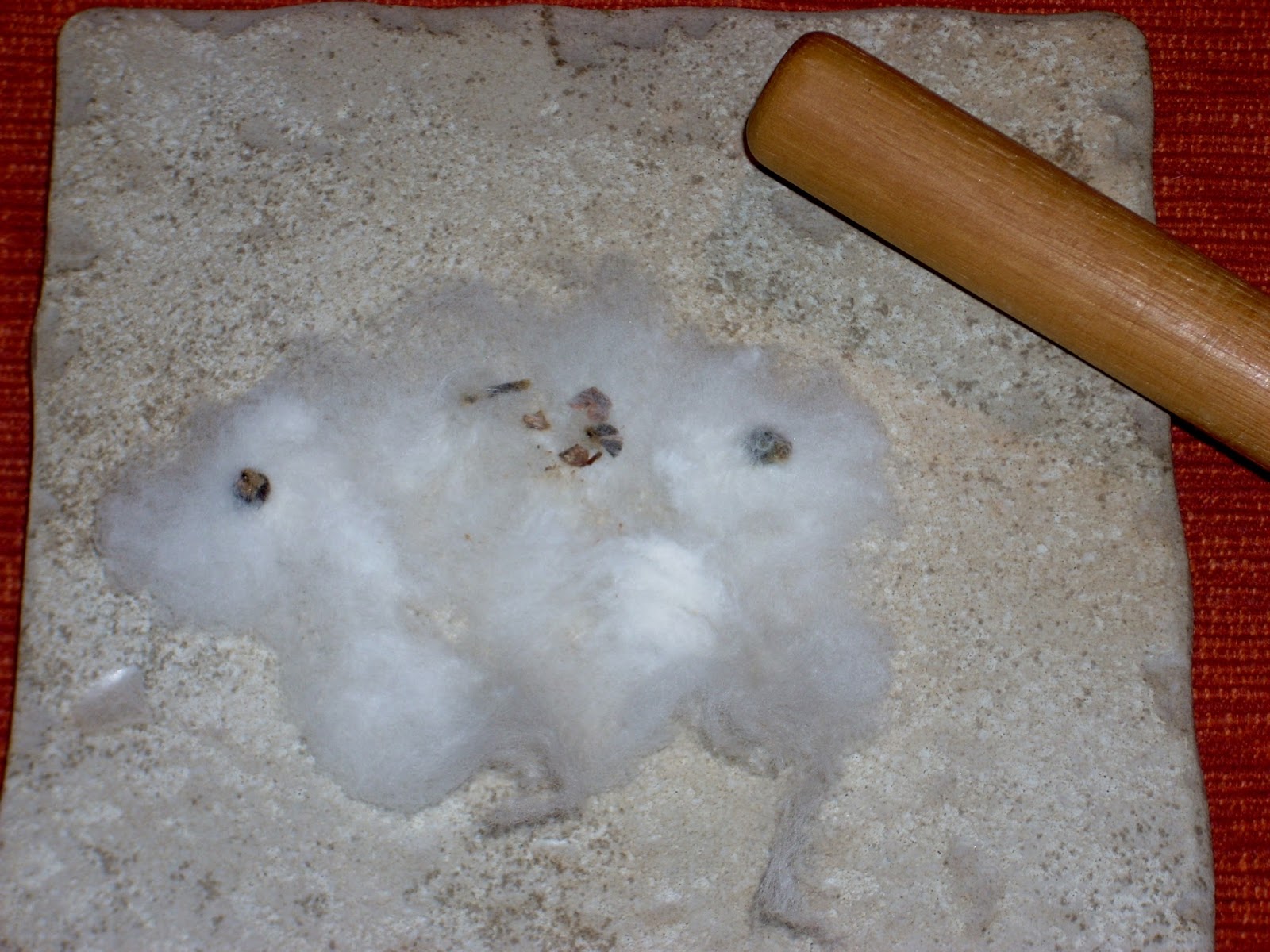 HeartSong Studio: Ginning Cotton by Hand