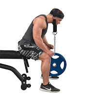 Fitness Pollenator: The Body Part You've Been Neglecting in Your ...