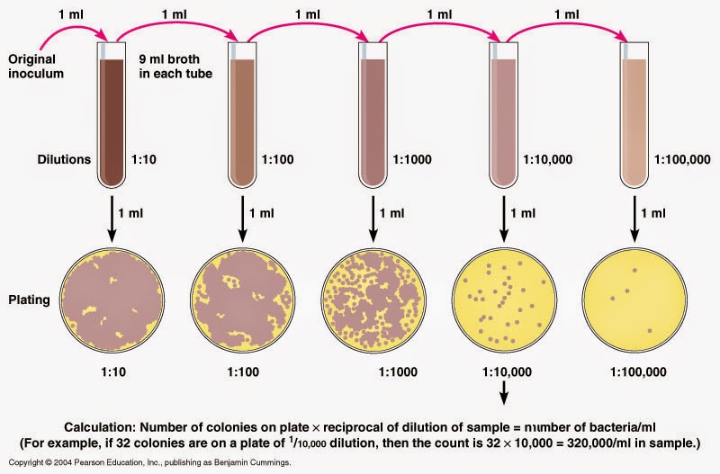 Microworld: December 2014