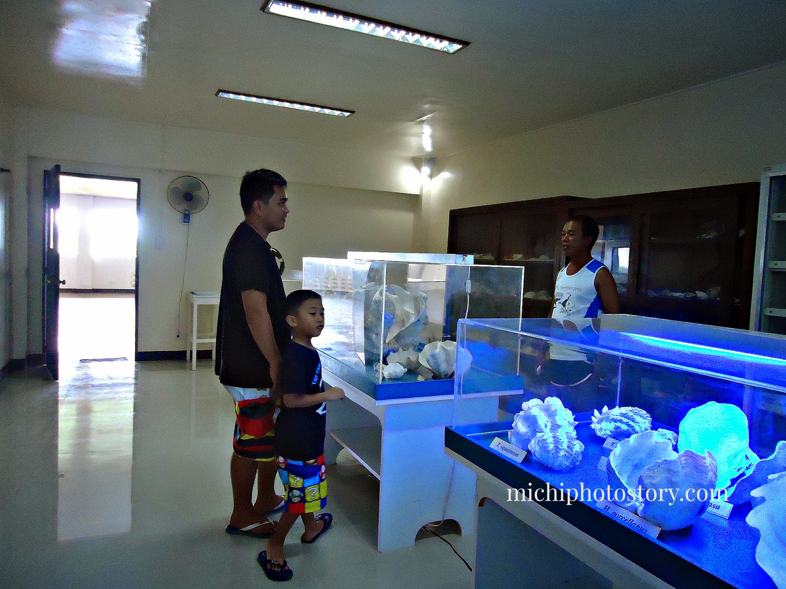 Michi Photostory: UPMSI Bolinao Marine Laboratory