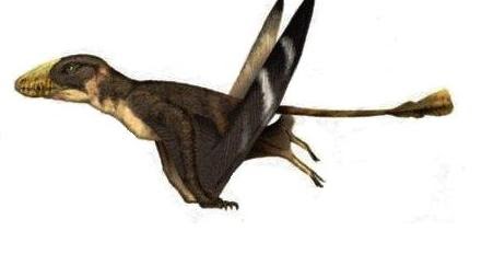 Blog de la Vida Prehistórica: Peteinosaurus