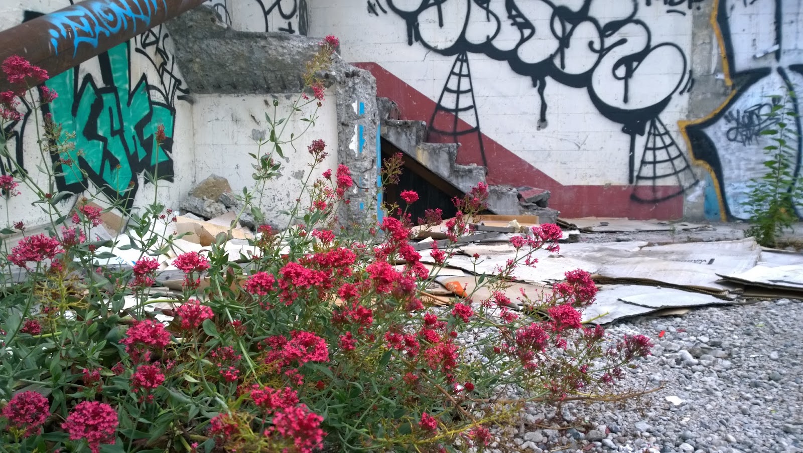 TravelMarx: Sunday Night Graffiti