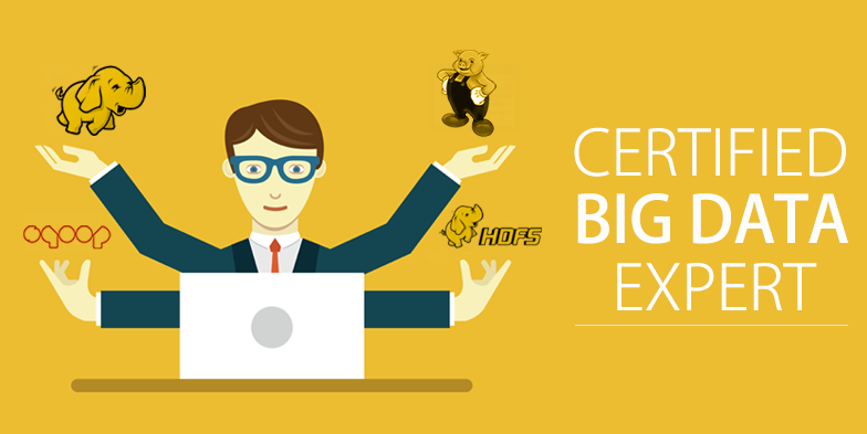 3 Most Effective Reasons Why Big Data Training Is Important For ...