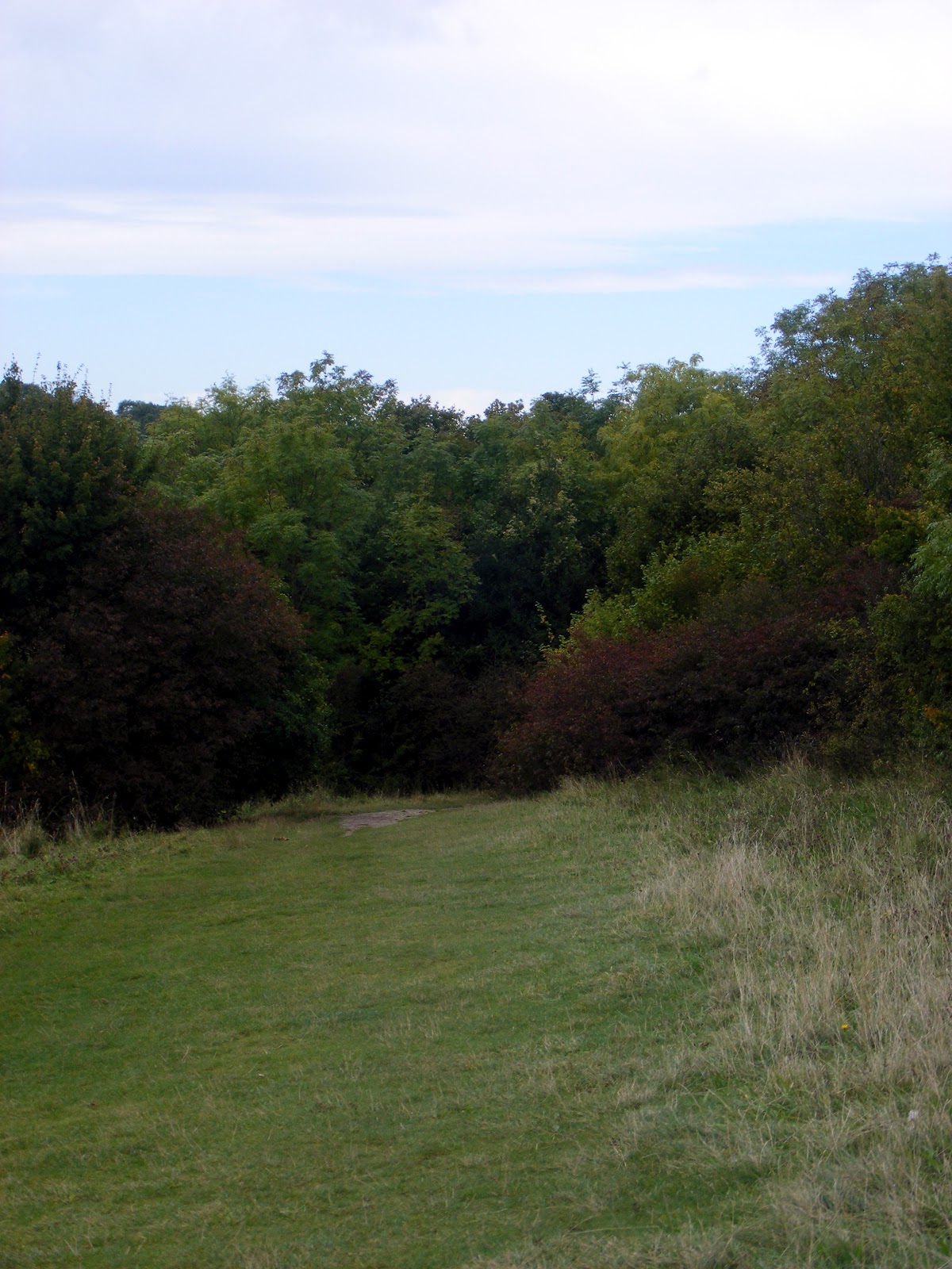 TheLondonLoop: London Loop-Hamsey Green to Banstead 3rd October 2012