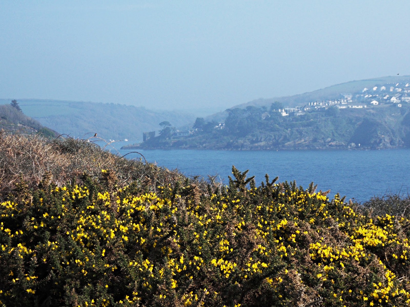 Mike's Cornwall: The Wonderful Coastline At Menabilly - Daphne du ...