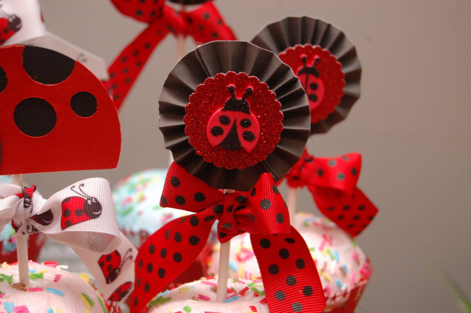 Maddyson's Lane: Lady Bug Party