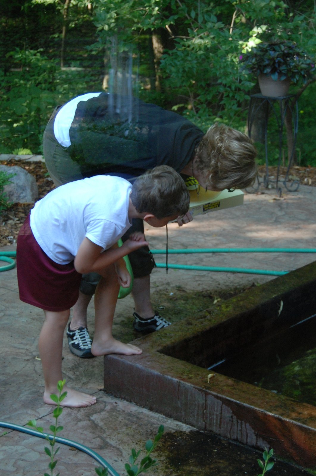 a blonde and 3 boys: Breeding Grounds...