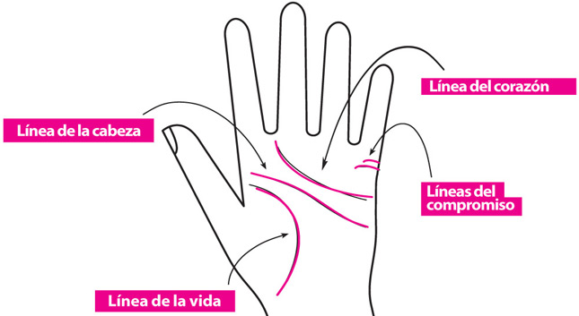Vida Filósofa: LAS LINEAS DE TUS MANOS (Quiromancia)