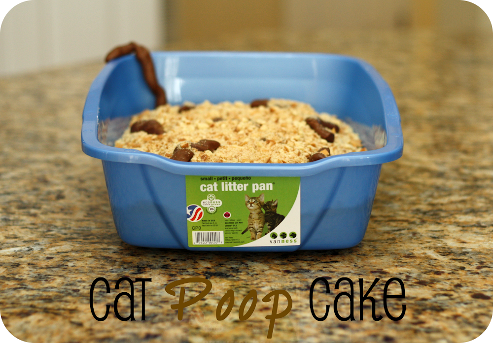 Keeping My Cents ¢¢¢: Cat Poop Cake