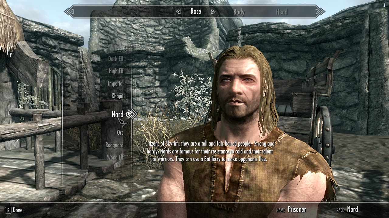 Ideias de Jogador: Cryomancer - Skyrim Build