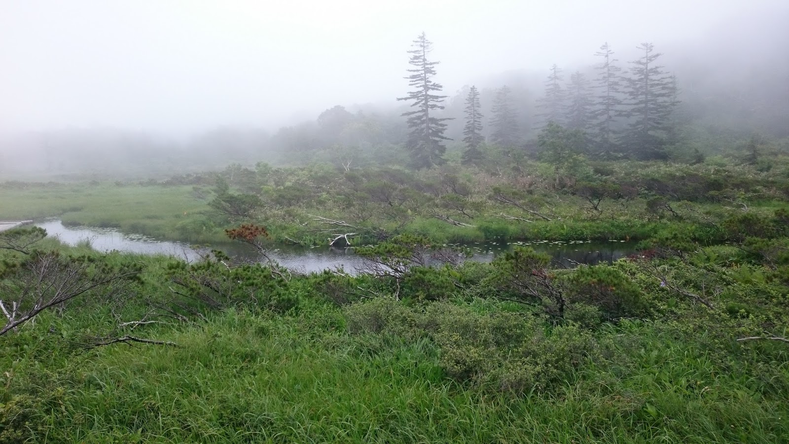 talk-hokkaido: Shinsen-numa Marsh