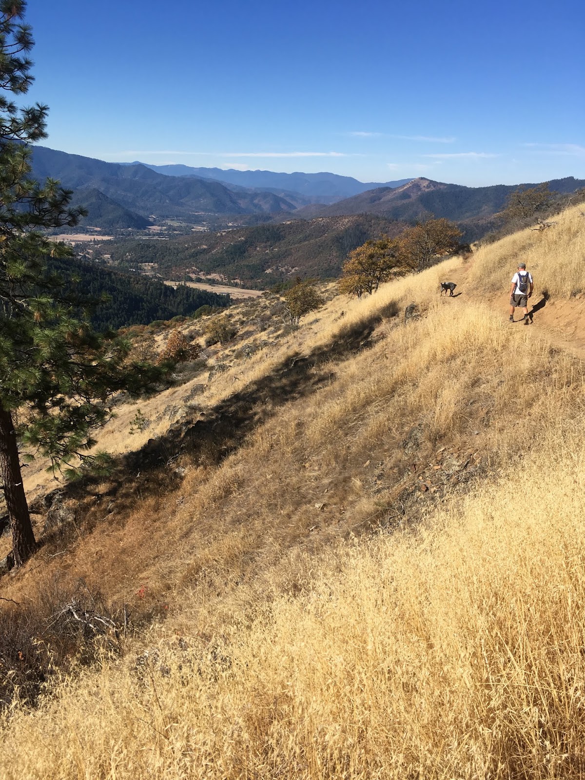 Everything Oregon (and Beyond): Applegate Ridge Trail (ART) East