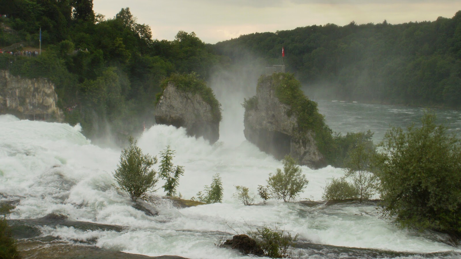 EXCURSII CU BICICLETA: Elvetia
