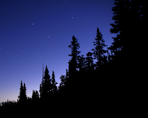 Beyond the Fields We Know: Thursday Poem - Sleeping in the Forest