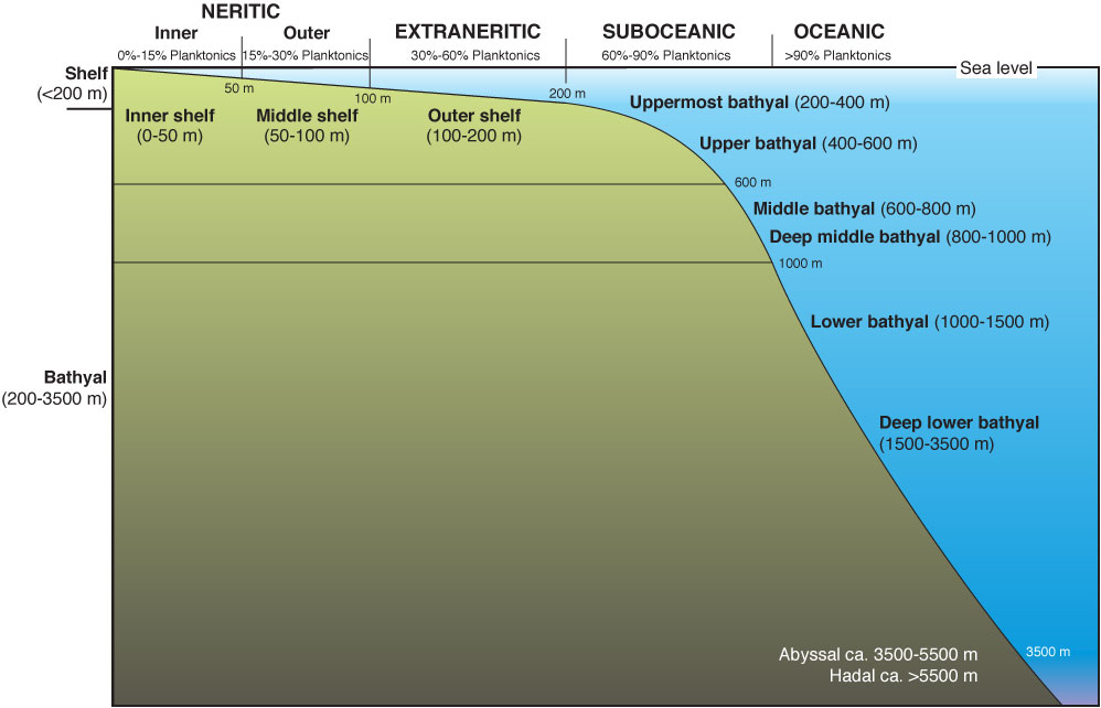 Pemanfaatan Zona Litoral, Neritik, Batial, Abisal Oleh Manusia - Guru ...