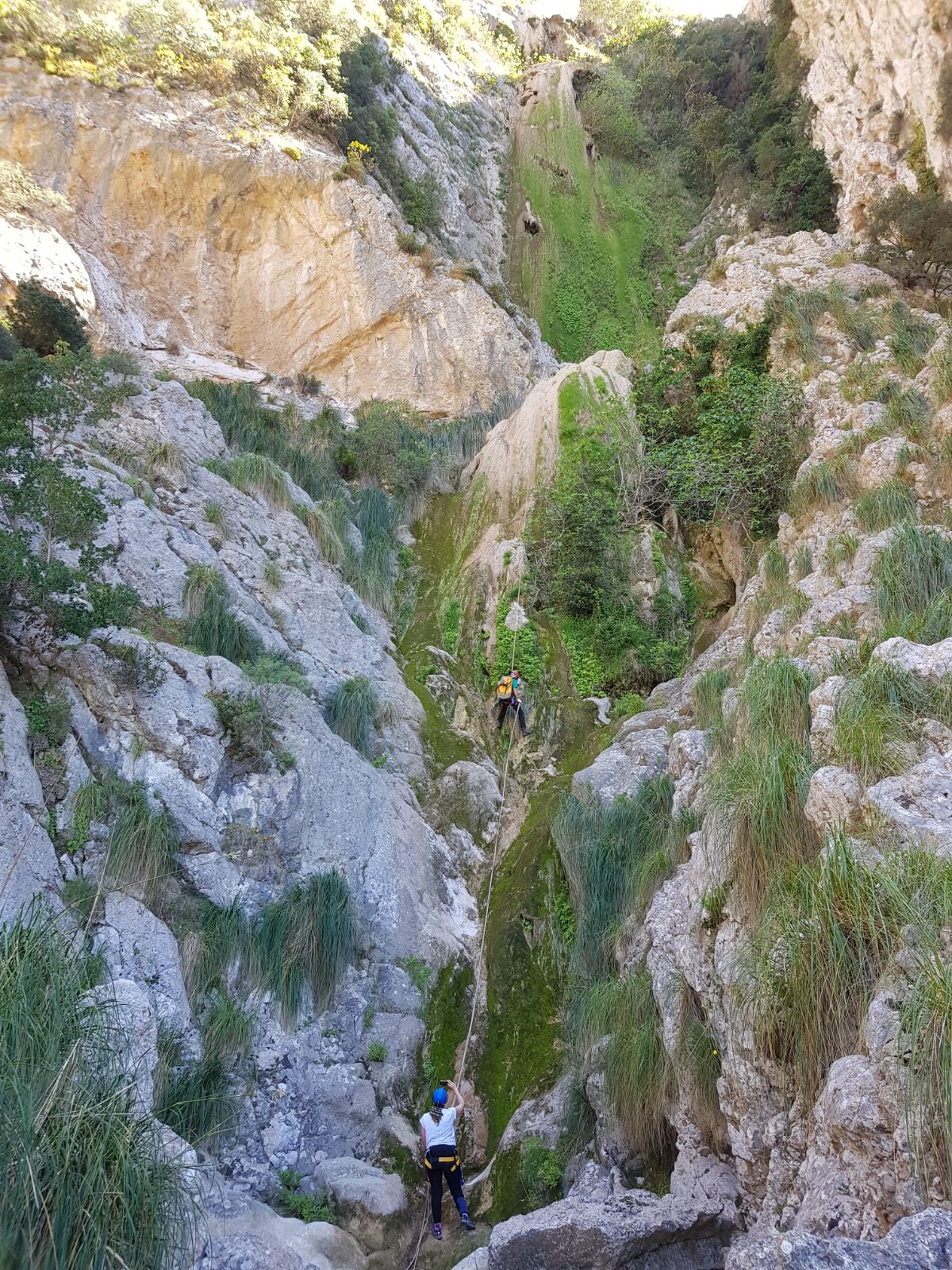 G.A.M.E.: TORRENT SALT DEL MOLINET, 2017