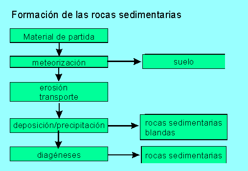Ambiente Sedimentario Marino
