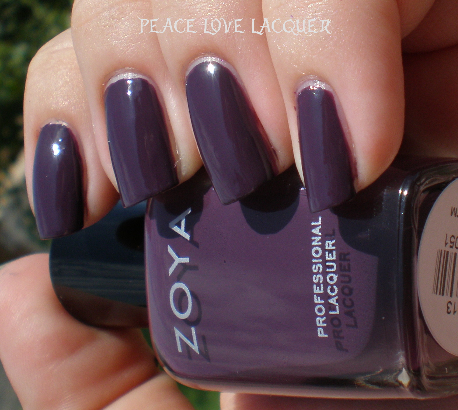 Zoya Monica