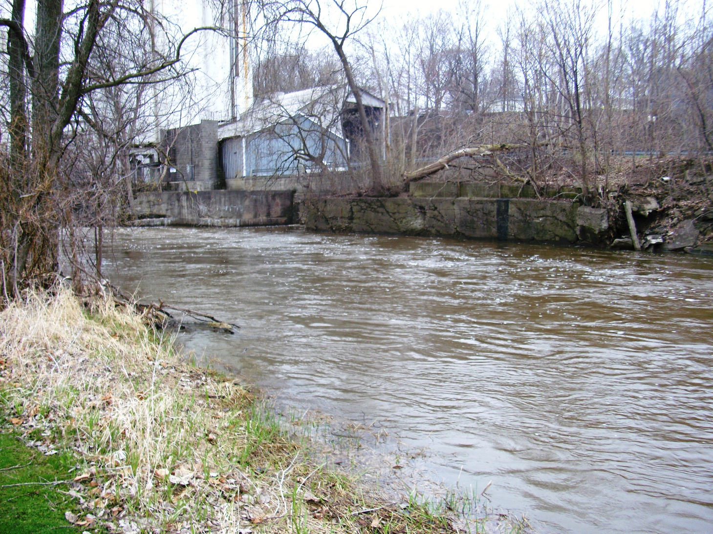 Michigan Steelhead Report: Portland - City of Two Rivers