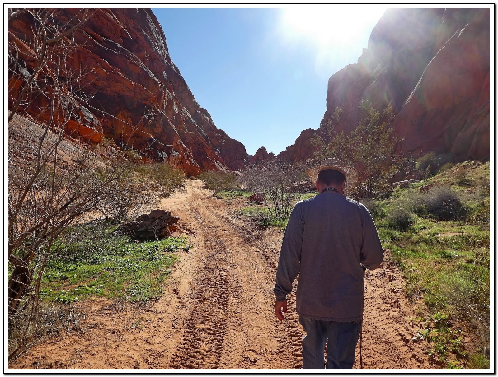 Ken's Photo Gallery: Logandale Trails Recreation Area - Summary Page