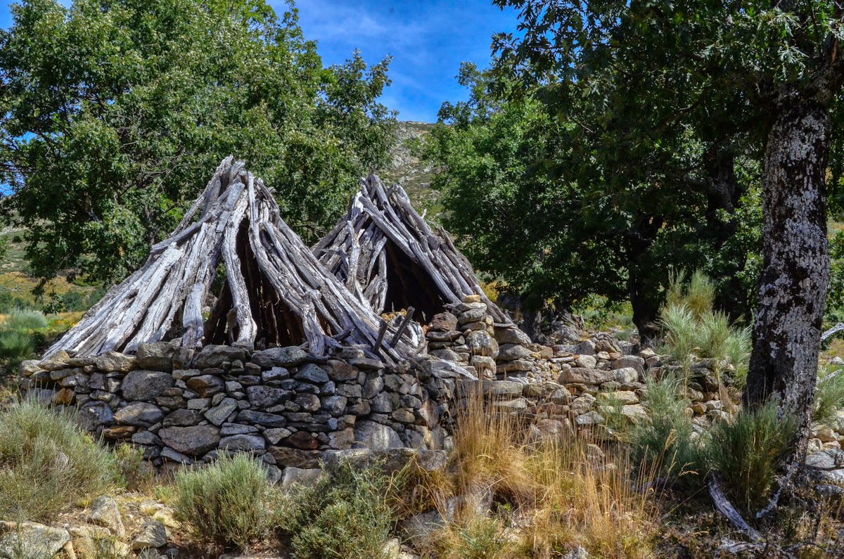ALMANAQUE NATURAL: Los Encinares de Gredos