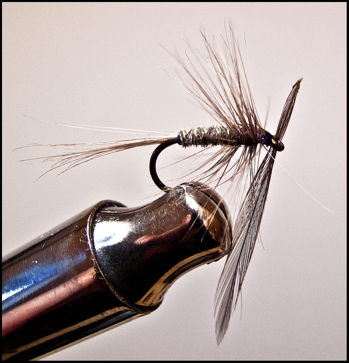 Dry Fly 'Expert': Still approaching but...