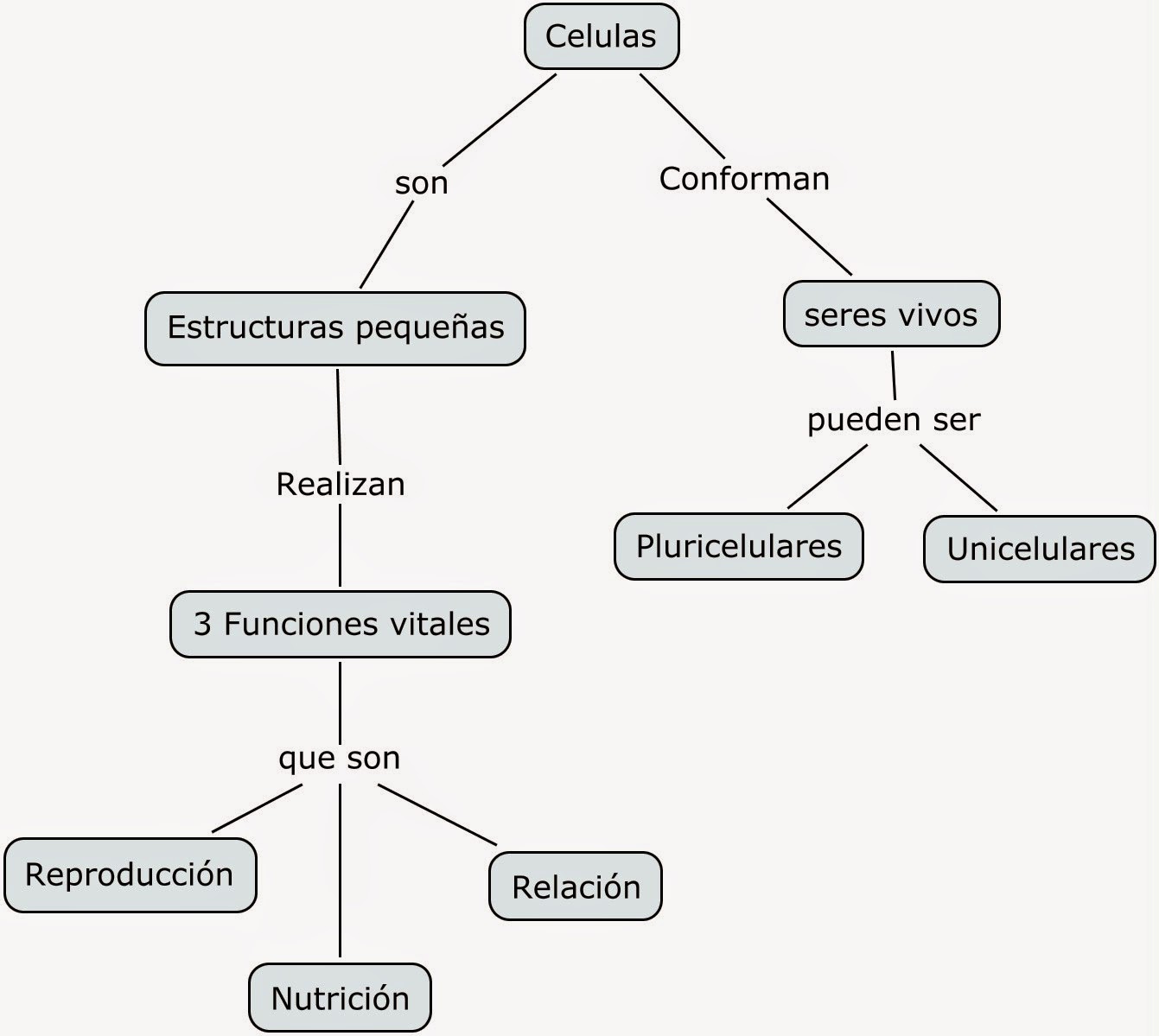 Informática III: Mapa Conceptual de Las células