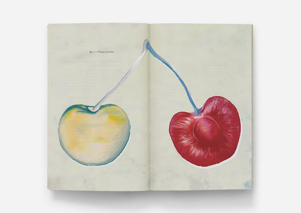 Elle's Kitchen: ※ The Field Guide to Victorian Produce