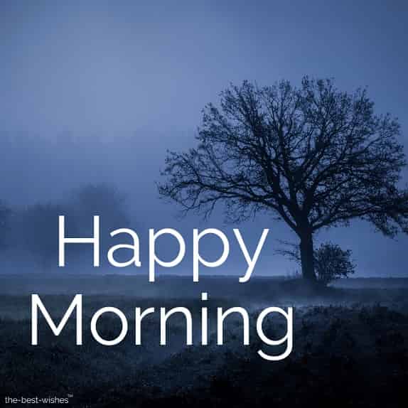 104 Stunning Good Morning Wallpaper HD Images and Greetings