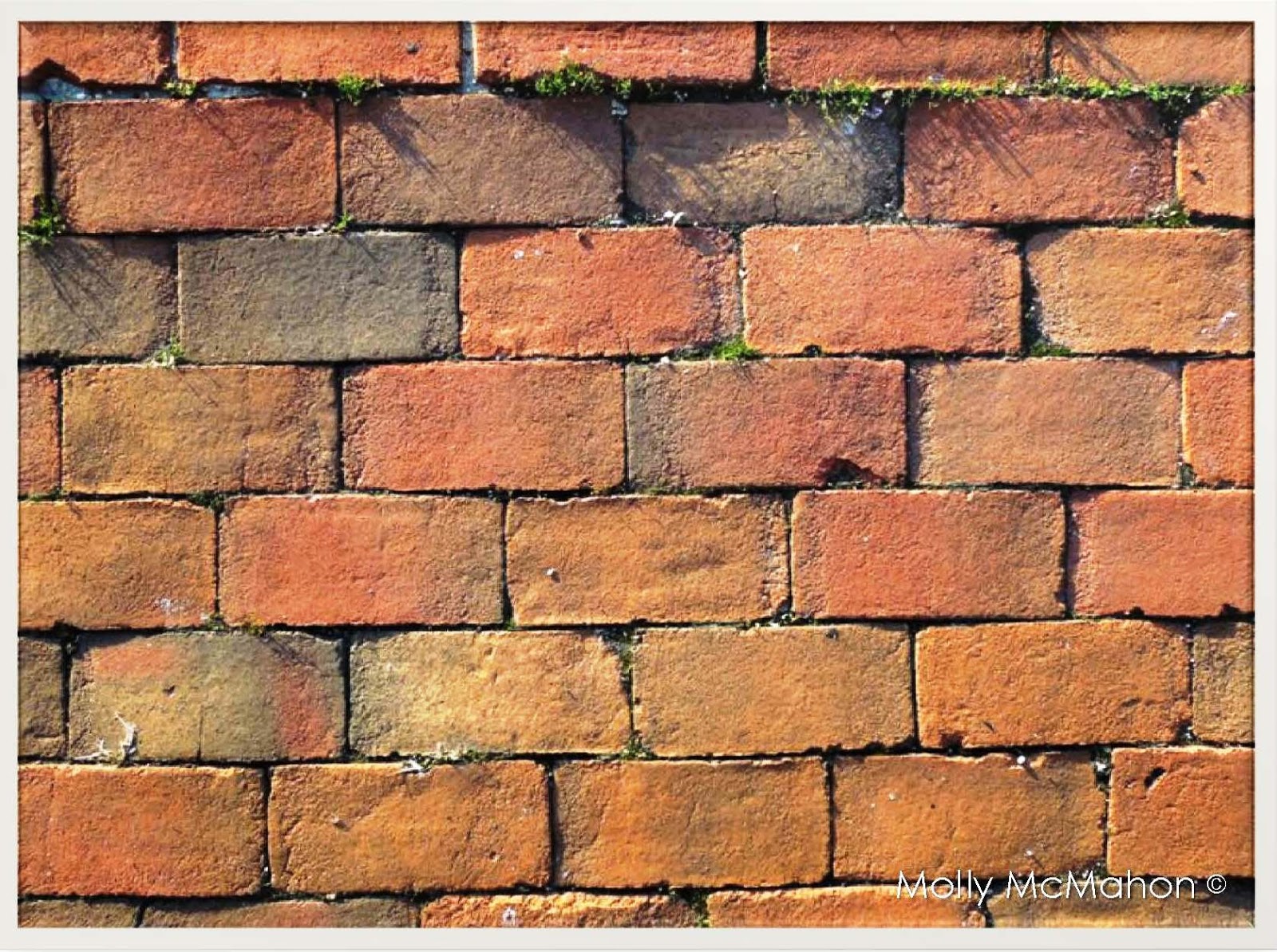 Lessons by Molly: Shapes in the Environment Photos