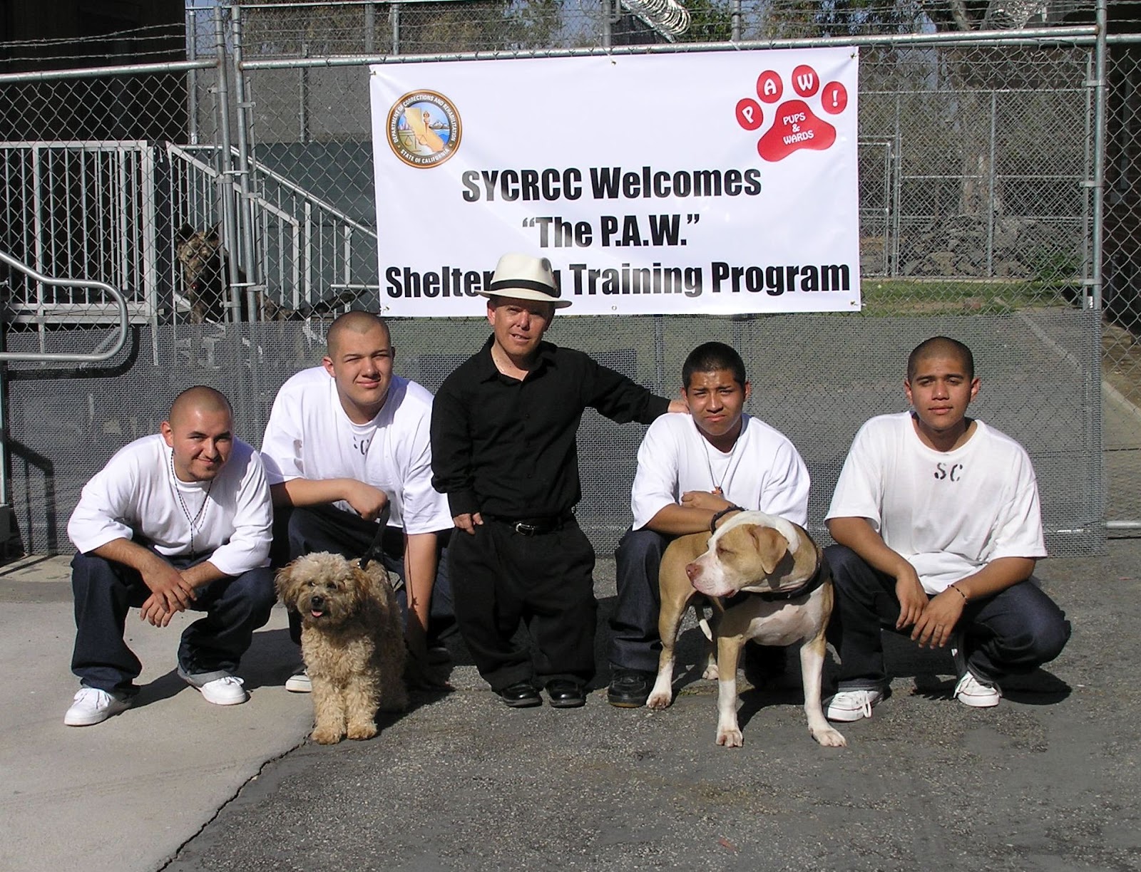 PRISON DOG PROGRAMS ~ BRIDGES and PATHWAYS of COURAGE: A FEW PRISON DOG ...