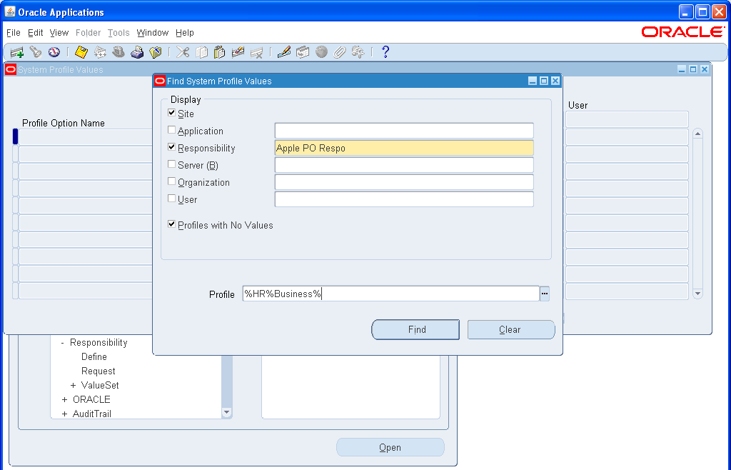 Oracle E-Business Suite R12 Financials: Defining Multi Organization
