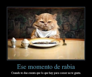 IMÁGENES CON MENSAJE DE BUEN PROVECHO PARA COMPARTIR | IMÁGENES GRACIOSAS