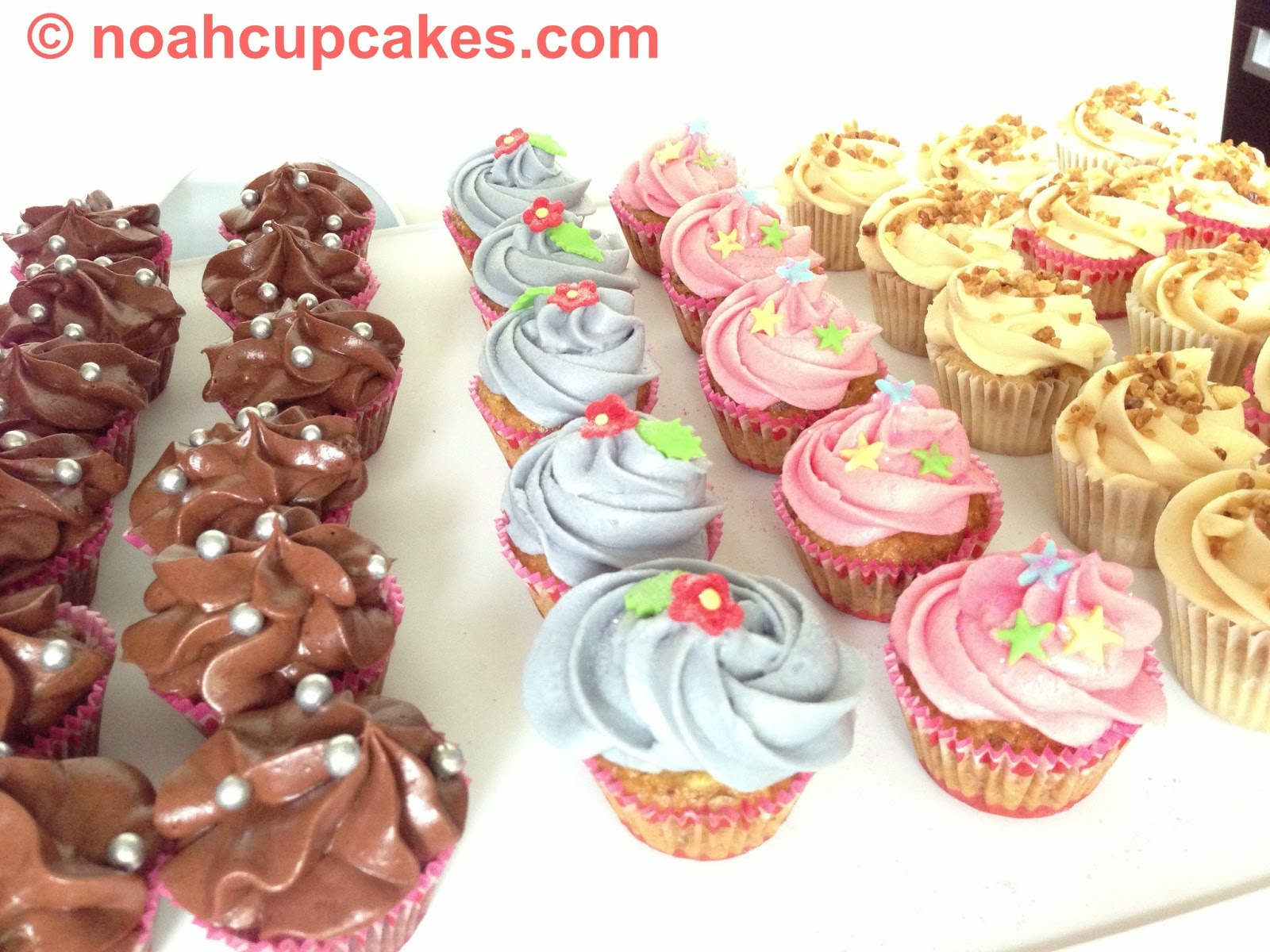 noahcupcakes: Mini Cupcakes